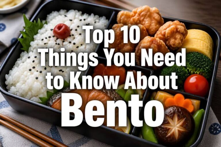 Top 10 Things You Need to Know About Bento | TOP10JP